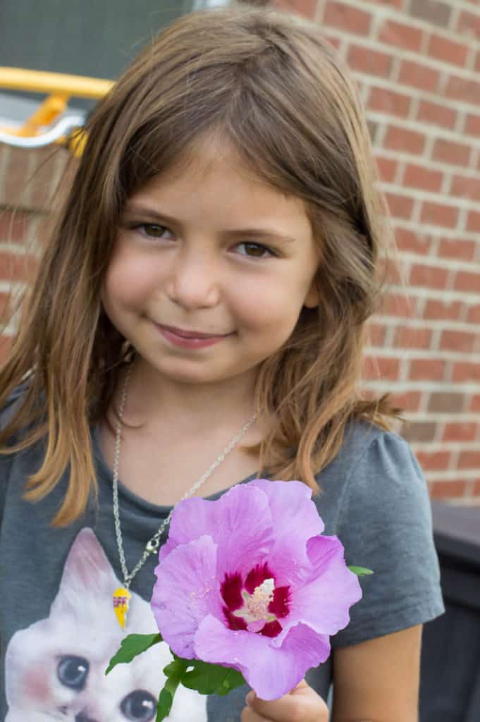 Aperture Explained for Photography Beginners: The Secret to Background ...