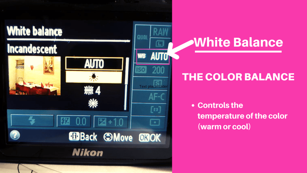 Photography For Beginners: Understanding All of the Numbers and Letters ...