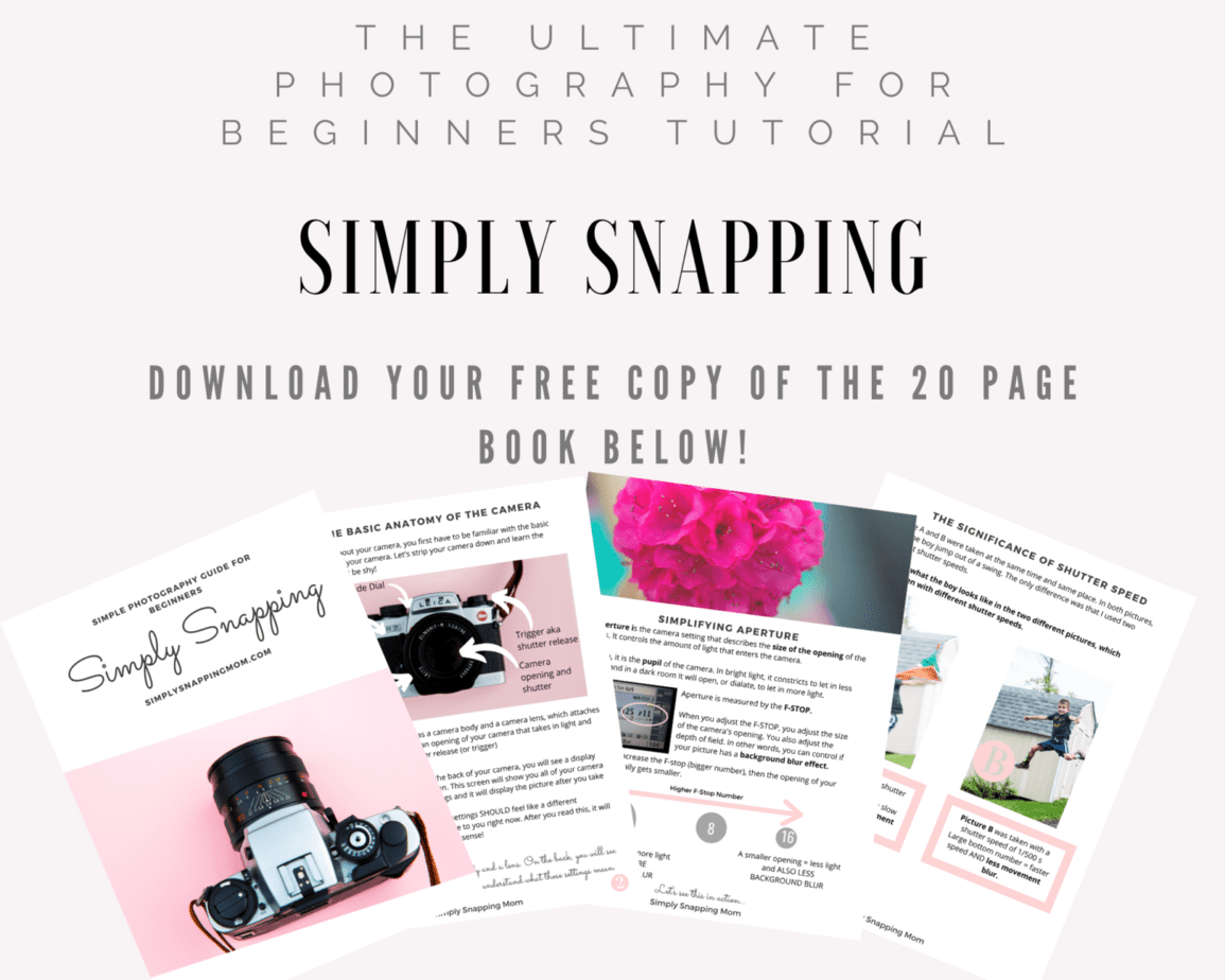 Master Your Camera with This Complete Guide to Photography - Simply ...