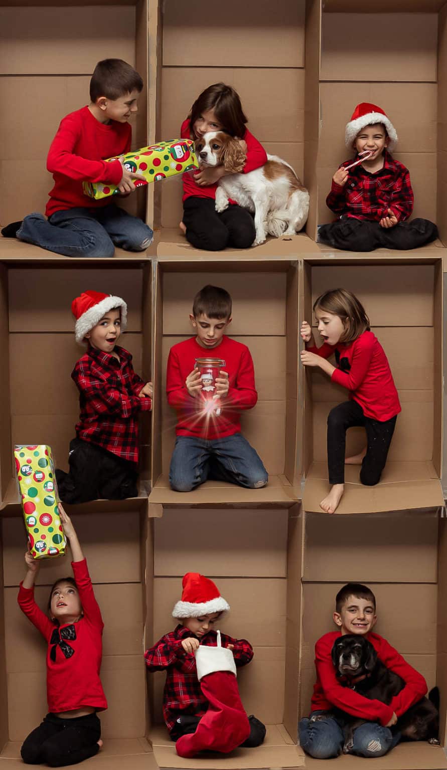 Complete Guide for an Inside the Box Picture - Simply Rooted Family