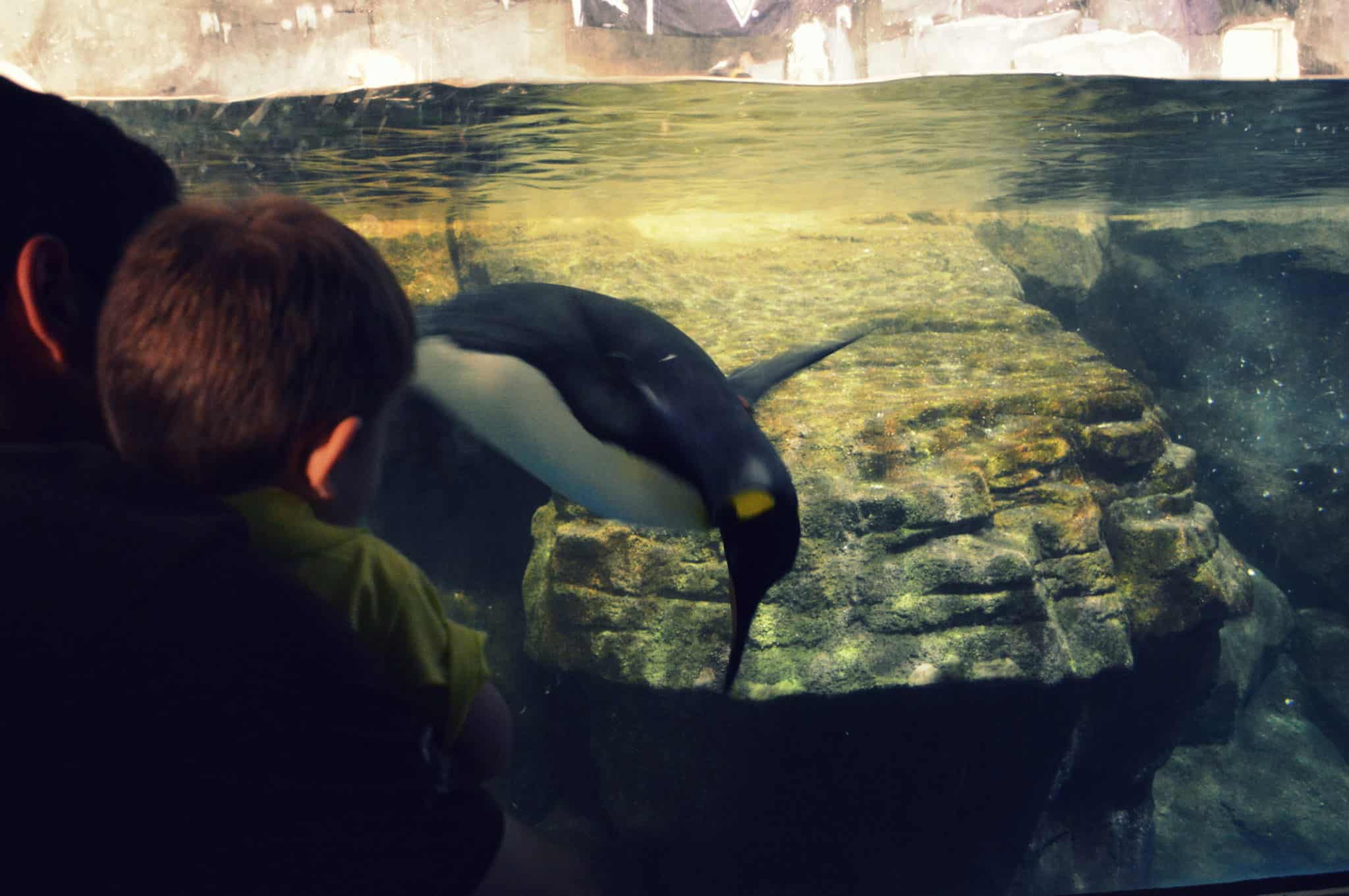 10 Ways to Engage with Nature When Mother Nature Won't Cooperate ...