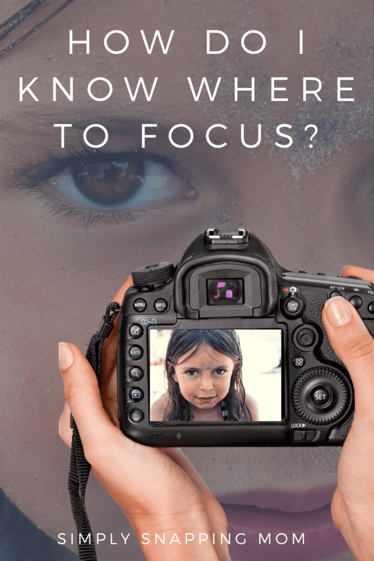 Top 5 Most Common Beginner Photography Questions Answered - Simply ...