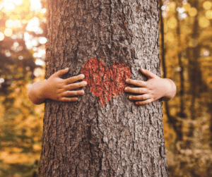 Help Kids Connect with Nature Instantly with these 7 Activities ...