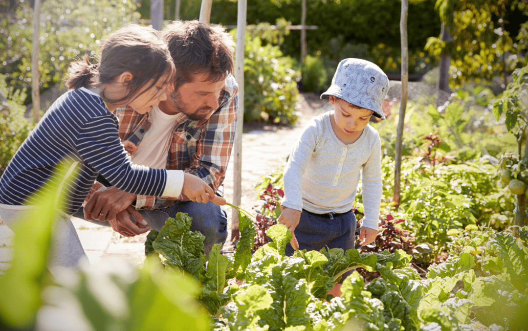 The Timely Need to Empower Your Son to Grow into a Good Man - Simply ...